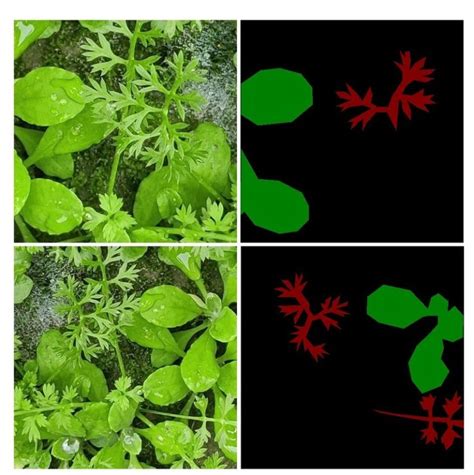 Gradcam Heatmaps For Segmentation With Unet In Pytorch Idiot Developer