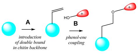 New Antibacterial And Antioxidant Chitin Derivatives Ultrasonic