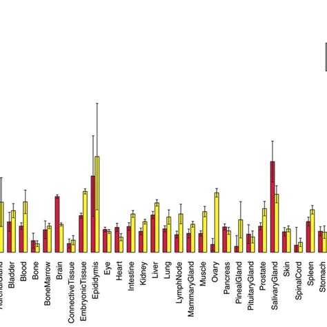 New Gene Contribution To Various Tissue Transcriptomes The Barplot Download Scientific Diagram