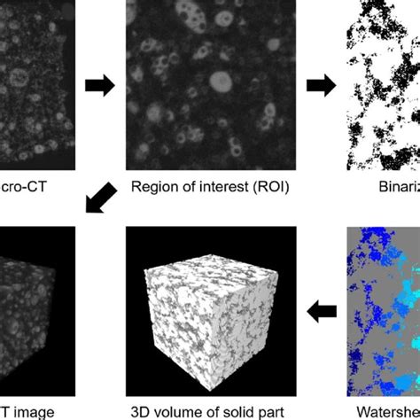 Micro Ct Imaging Process For Generating 3d Volume Of The Download Scientific Diagram