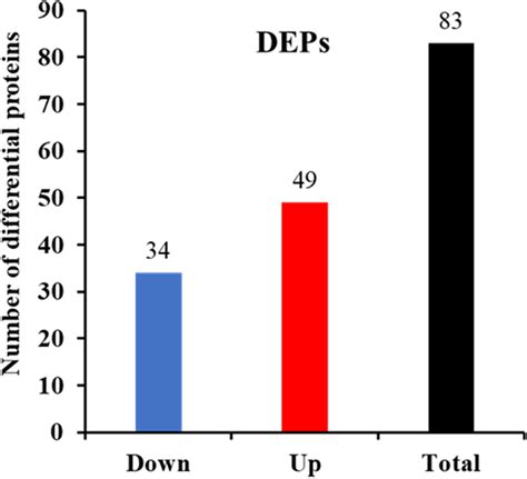 Number Of Differentially Expressed Proteins Deps In Zebrafish Embryos