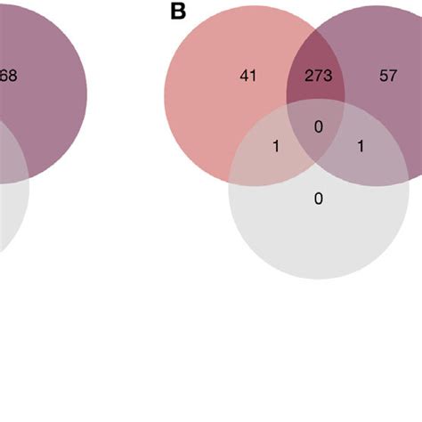 Venn Diagram Showing Overlap Of De Genes Using Dearseq And The Original