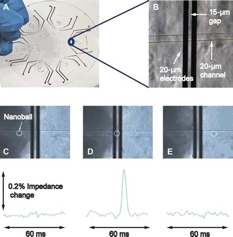 New Method Combines Dna Nanoballs And Electronics To Enable Simple