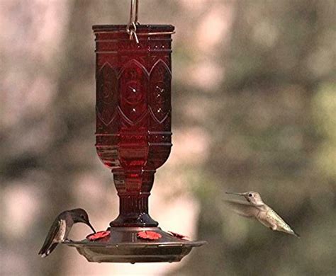 More Birds Nectar Capacity Hummingbird Feeder Vintage Red