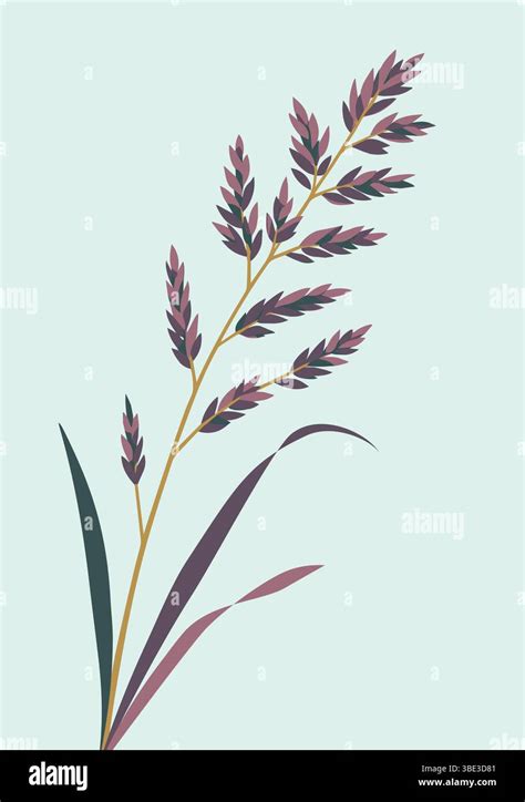Grass Plant Leaves Foliage Stock Vector Images Alamy