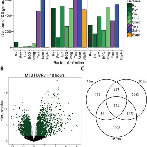 Differential Expression Analysis We Tested For Differentially