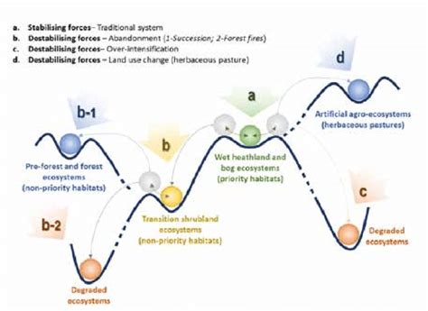 Conceptual Model And Possible Evolution Trajectories For The Ecosystems