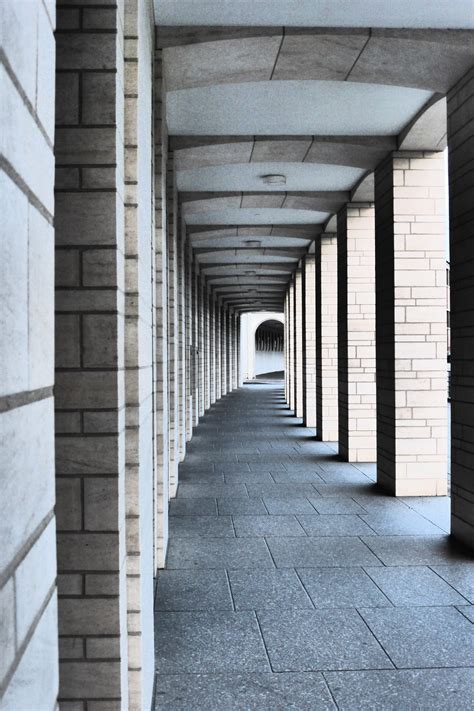 무료 이미지 건축물 구조 목재 벽 지하철 아치 곡선 굽히다 홀 정면 계단 매력적인 대칭 한 떼 3072x4608 1198926 무료