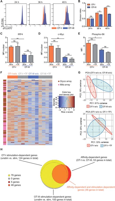 Affinity Dependent Gene Expression A Proliferation Of Ot I