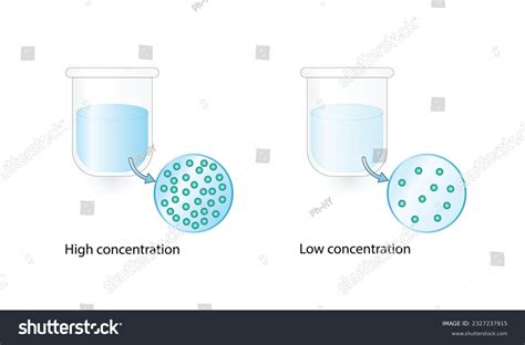 Concentr Over 89 441 Royalty Free Licensable Stock Vectors And Vector Art Shutterstock