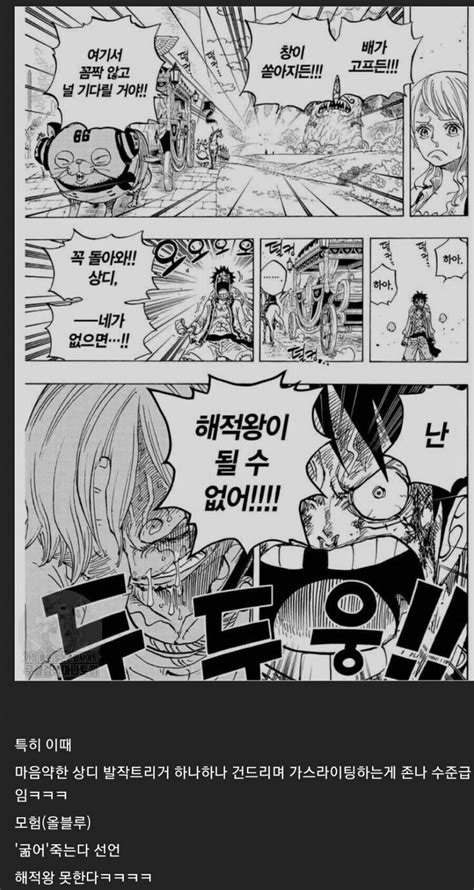 루피 머리 잘돌아가는 이유 에누리 쇼핑지식 자유게시판