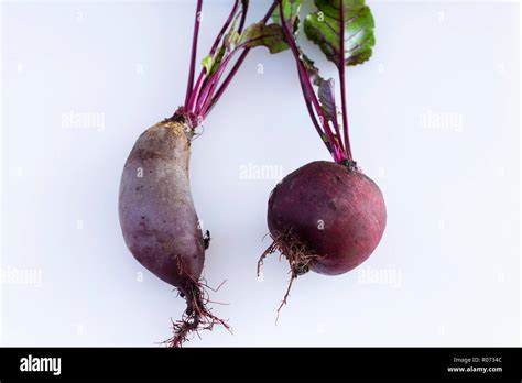 Two Different Types Of Beetroot On A White Background Left Beetroot Alto Right Beetroot