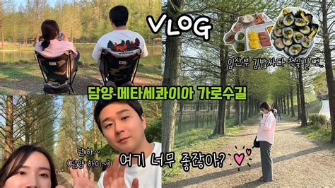 🤰🏻vlog32 33주 임산부 브이로그 L 담양 메타세콰이어길 김밥만들기요리브이로그 Gtq 1급 시험 공부 막창삼겹살 먹방 Youtube