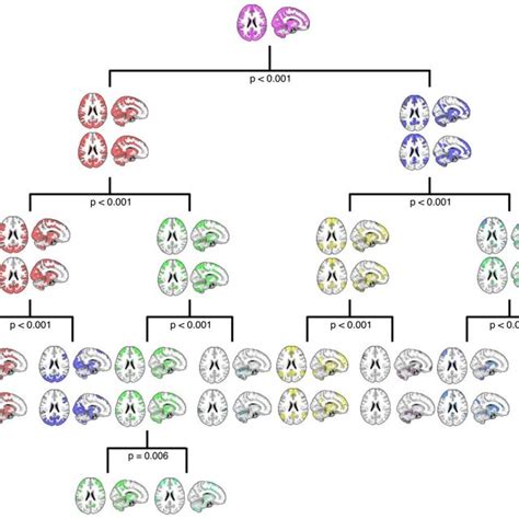 A Graphical Representation Of The PACE Derived Male And Female Download Scientific Diagram