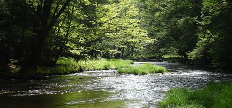 Pennsylvania Wild Trout Streams
