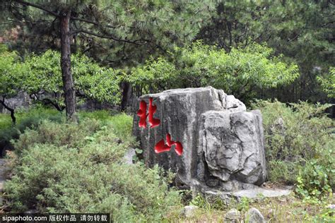 中共中央党校夏日风光美如画