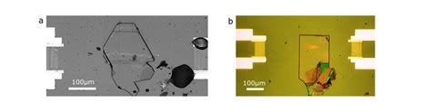 Sample Images A Scanning Laser Microscope Image Of Sample 1 Which Download Scientific