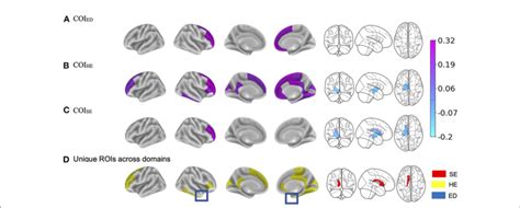 Figure E A C Visualization Of The Brain Regions That Showed Download Scientific Diagram