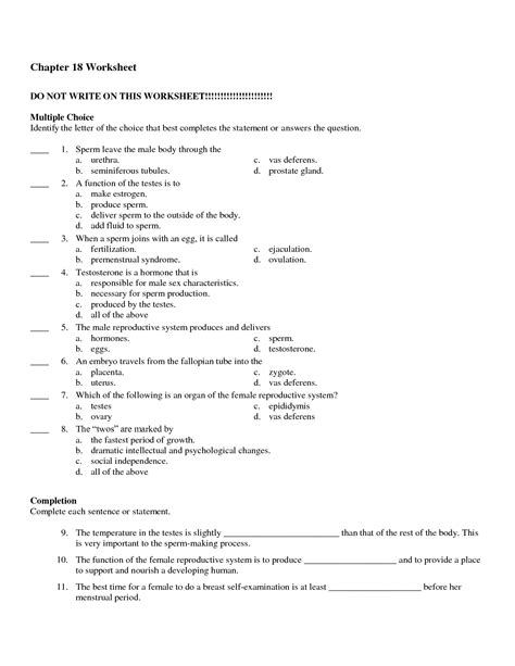 Male Reproductive System Worksheets Answer Key