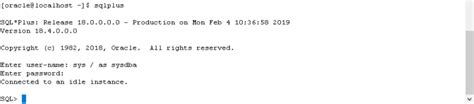 Levantar Servicio De Base De Datos Oracle Buena Suerte Con La