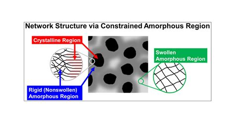 Spatial Distribution Of The Amorphous Region Constrained By Polymer Crystallites Macromolecules