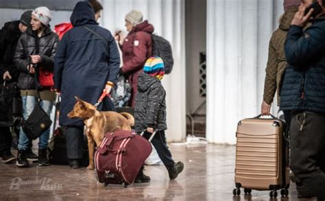 В Офісі Президента цього року планують надати житло кожному третьому переселенцю Вечірній Київ