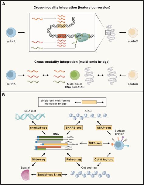 The Future Of Rapid And Automated Single Cell Data Analysis Using