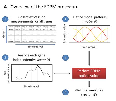 Figure S1 Illustration Of The Edpm Procedure Download Scientific Diagram