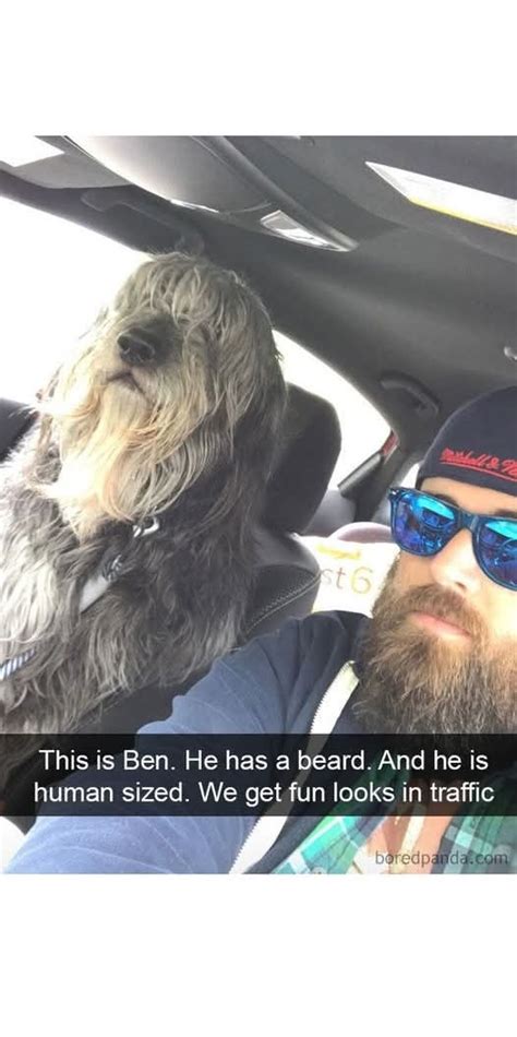 Chewbaccas Stoner Cousin Album On Imgur