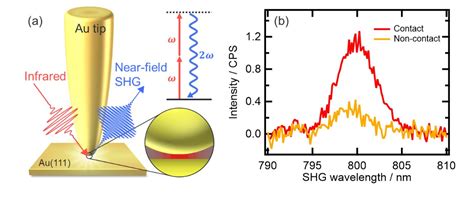 Broadband Tip Enhanced Nonlinear Optical Response In A Plasmonic Nanocavity Institute For