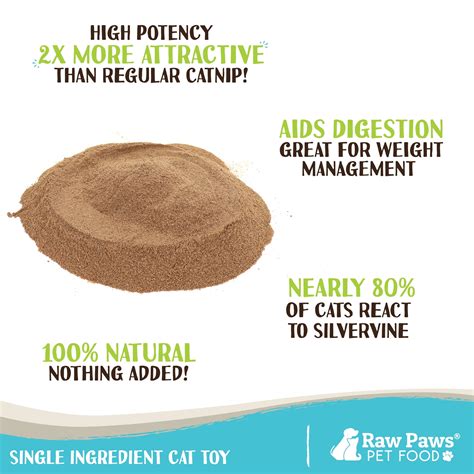 Raw Paws Silvervine For Cats 75 Gram 2x More Attractive Than Catnip