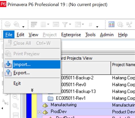How To Open XER File With Or Without Primavera Application