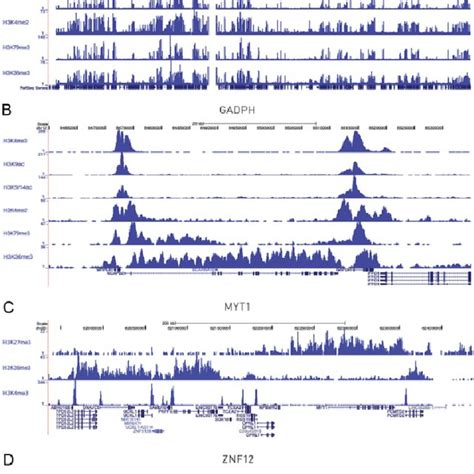 Chip Assays And Library Generation On 10 000 Cells Chip Seq Experiments Download Scientific