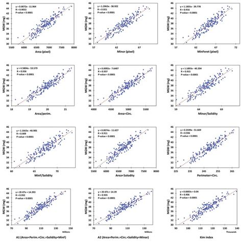 Output Of Image Segmentation For Extracting Grains And Fitting The Best Download Scientific