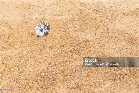 열대 섬의 모래 해변에 있는 큰 캐럿 다이아몬드 보석 보석 황금빛 모래에 아름 다운 여름 태양 스튜디오 샷 복사 공간 건조한에 대한 스톡 사진 및 기타 이미지 Istock