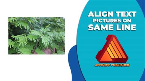 shapon shekh on linkedin how to align text and pictures on the same