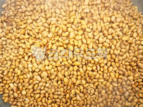 콩 메주콩 메주 메주콩삶기 배경 사진 이미지 일러스트 캘리그라피 네모유작가