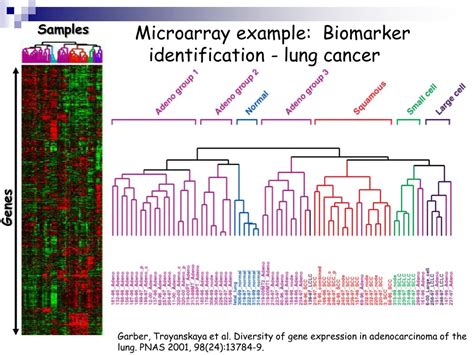 Ppt Introduction To Microarray Technology And Analysis Powerpoint Presentation Id4565538