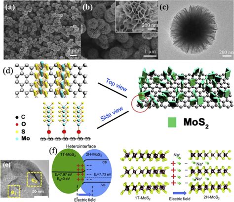A And B Sem Images And C Tem Image Of The Mos 2 C Microspheres Download Scientific