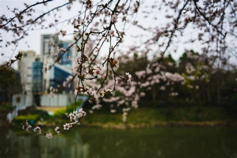 基于大语言模型的自主智能体实现调研 A Survey On Large Language Model Based… By Harry同学 Medium