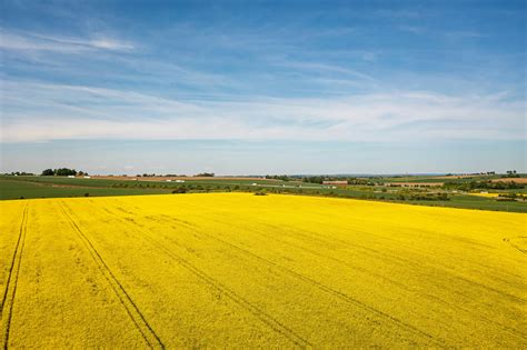 Bluepicturesexyhdhindi Photos Download The Best Free Bluepicture