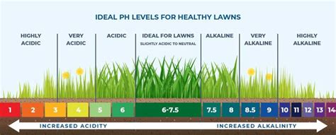 Ideal Ph Levels For Healthy Lawns The Definitive Guide