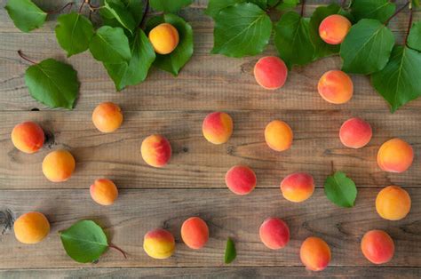 303 291 Beste Marille Bilder Stock Fotos And Vektorgrafiken Adobe Stock