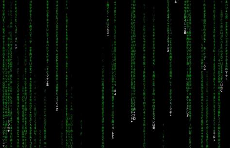 The Matrixs Iconic Green Code Has Finally Been Translated