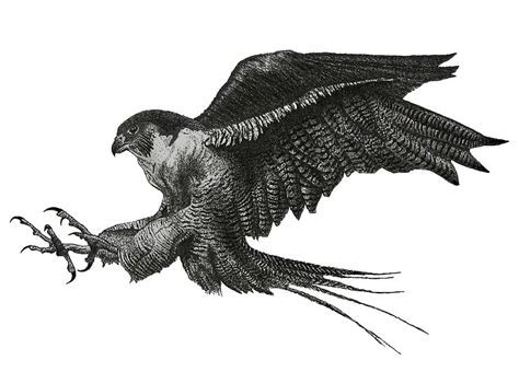 Phalcon Framework 0 9 0 Released