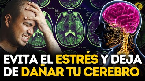 Este Es El DaÑo Que Le Hace El EstrÉs A Tu Cerebro 🧠 Youtube