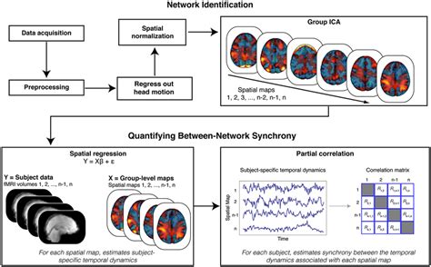 Analysis Schematic Our Analysis Proceeded In Multiple Steps Data Were