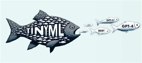 dina elkholy on linkedin tinyml why the future of machine learning is