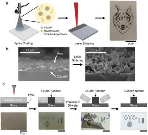 Laser Sintered Egainp‐carbon A Schematic Of The Spray Coating And Download Scientific Diagram