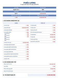 Mẫu Phiếu Lương đẹp Mới Nhất Cho Doanh Nghiệp Vietsoftware International